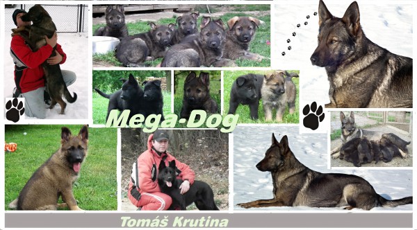 Mega- Dog :: Mega-Dog